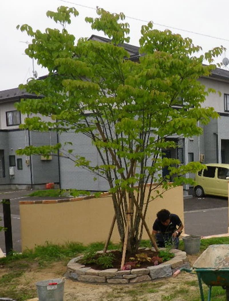 コバ積み花壇の庭 - よっちゃんの庭工房